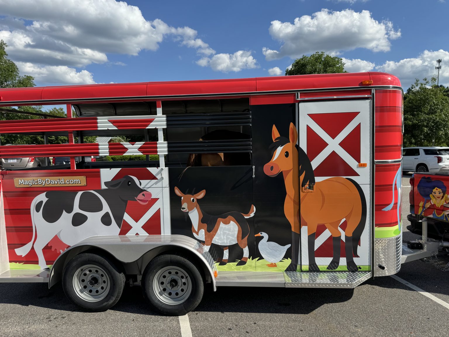 Raleigh Pony Rides and Mobile Petting Zoo - Magic by David