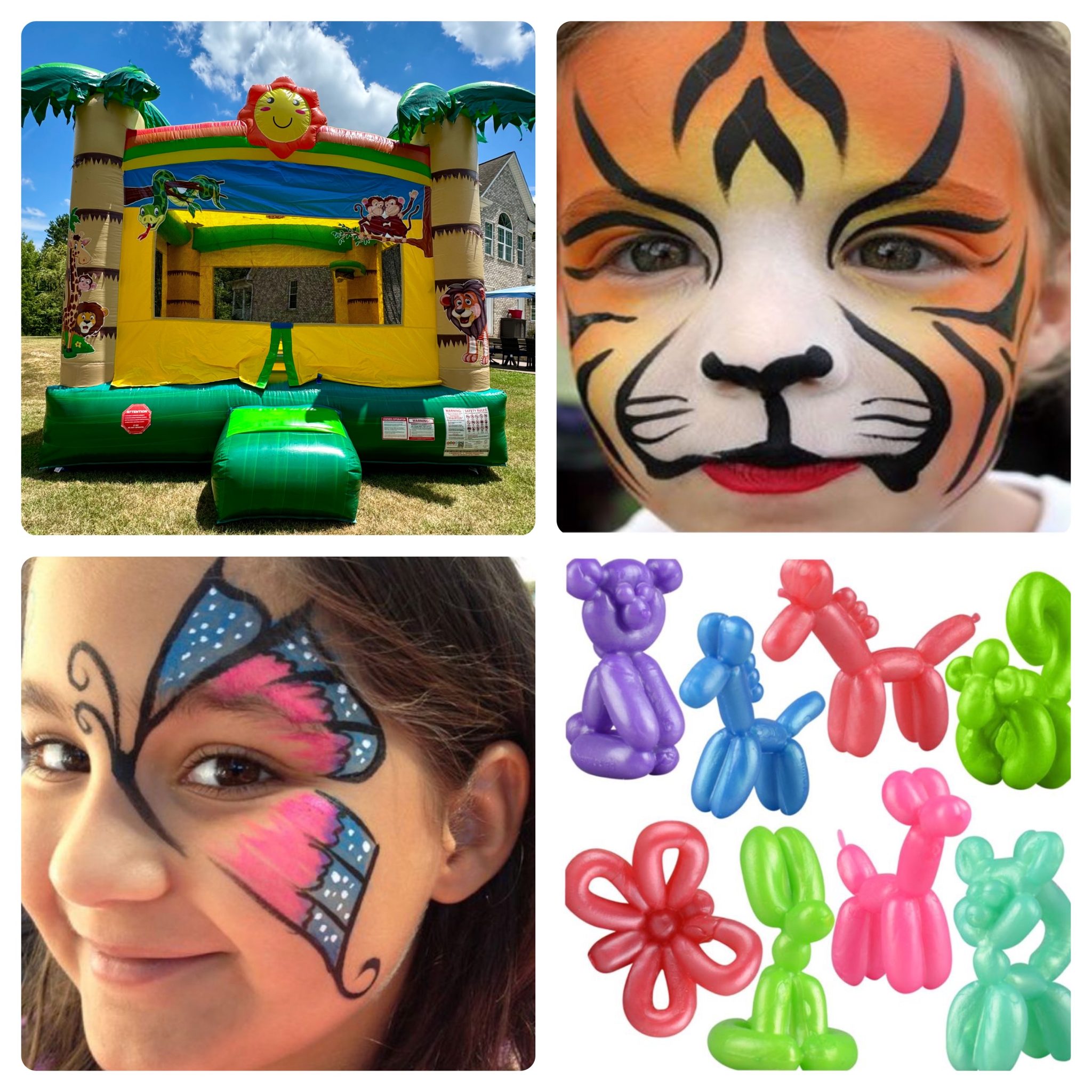 Raleigh Pony Rides and Mobile Petting Zoo - Magic by David